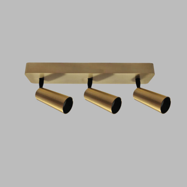 Golden LED Wall Spotlight with switch available | Zesen Lighting